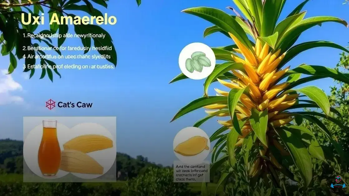 Para que serve o uxi amarelo e unha de gato? Descubra já!